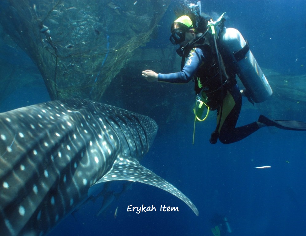 24 BINATANG KHAS DARI SELURUH DUNIA (Bagian 2)